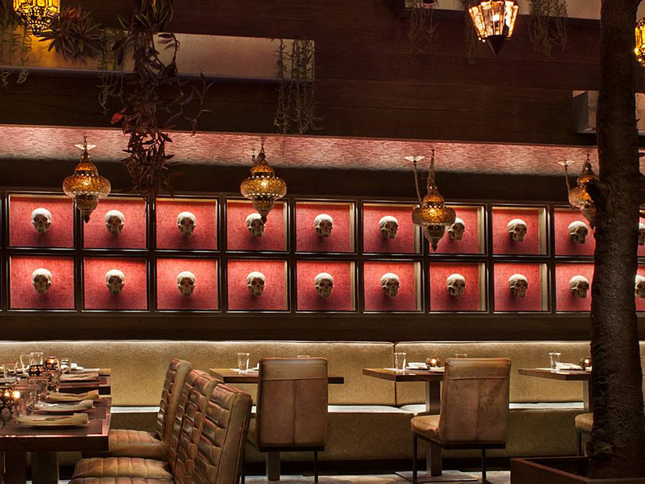 Toca Madera | Discover Los Angeles