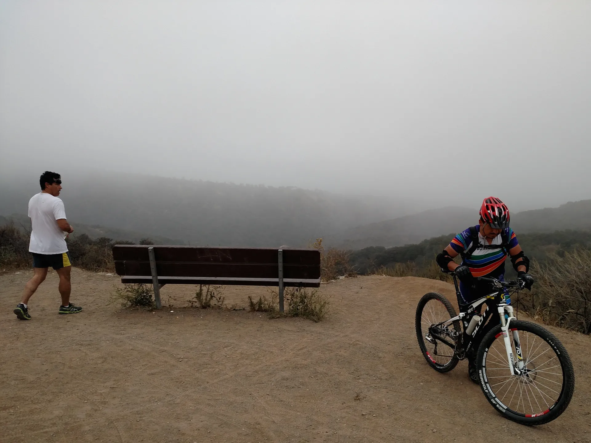 Top 10 Easy Hikes in Los Angeles | Discover Los Angeles