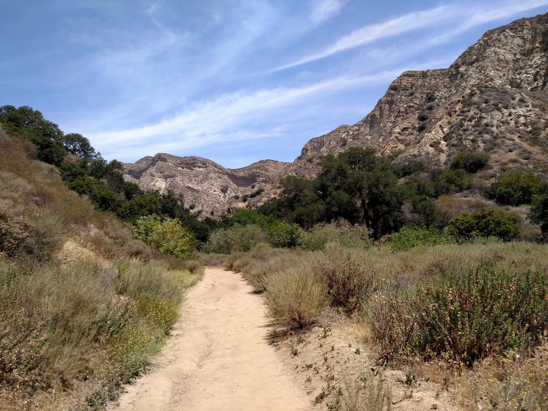 Top 10 Easy Hikes in Los Angeles | Discover Los Angeles